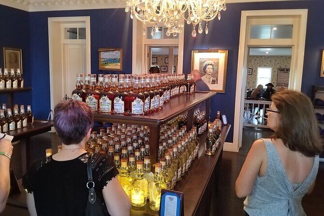 Group City Tour and Beach Experience from Cruise Port - A Closer Look at the Tour Experience