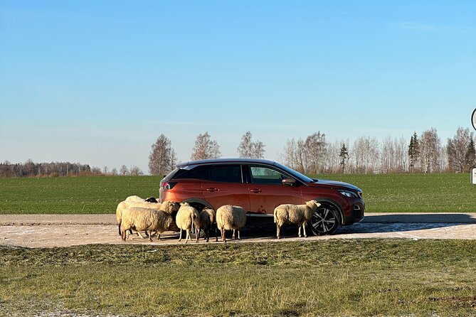 Group Day Trip From Riga to Hill of Crosses - 5 Hour Day Tour! - Pricing and Booking Information