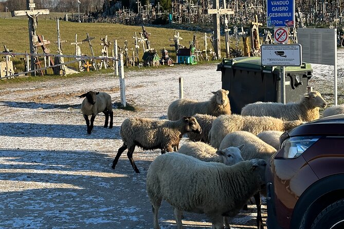 Group Day Trip From Riga to Hill of Crosses - 5 Hour Day Tour! - Departure and Return Details