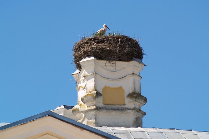 Group Day Trip to Rundale Palace Review - Suitability and Accessibility