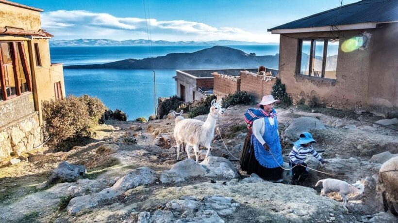 Group Excursion to Lake Titicaca and Sun Island - Practical Tips for Future Travelers