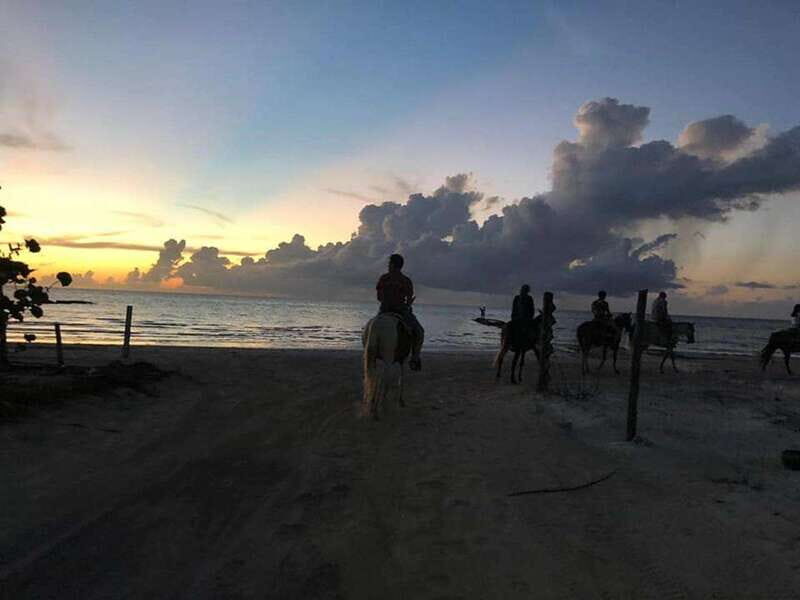 Group horseback ride on Holbox Island, Quintana Roo - An Authentic Ride Through Holbox’s Wild Side