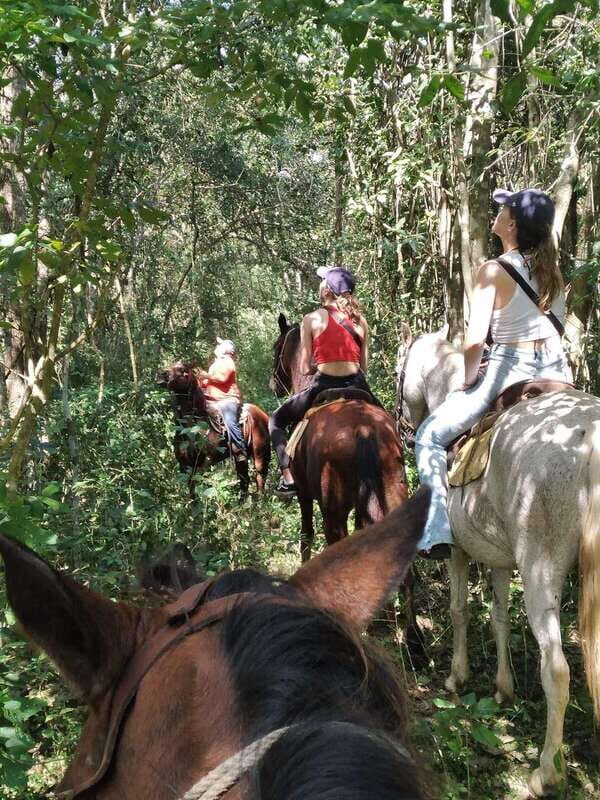 Group horseback ride on Holbox Island, Quintana Roo - Final thoughts: Is it worth it?