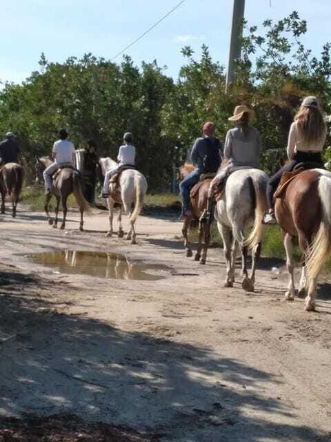 Group horseback ride on Holbox Island, Quintana Roo - Final words