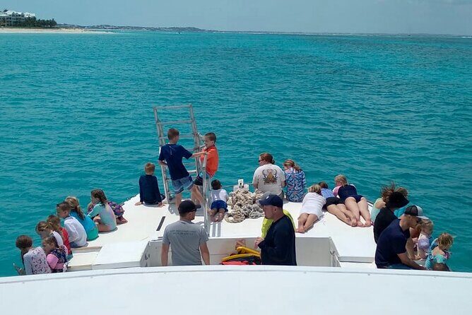 Group Reef, Beach and Sandbar Tour from Providenciales - Practical Tips for Travelers