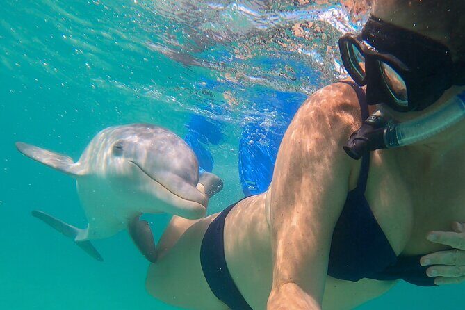 Group Reef, Beach and Sandbar Tour from Providenciales - Final Thoughts: Is This Tour Worth It?