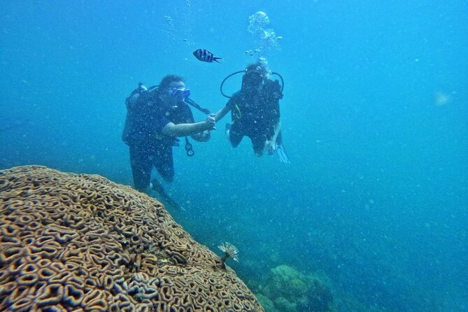 [GROUP] SCUBA DIVING For Beginners in Phu Quoc Island (TRY DIVE) - Who Should Book This Tour?