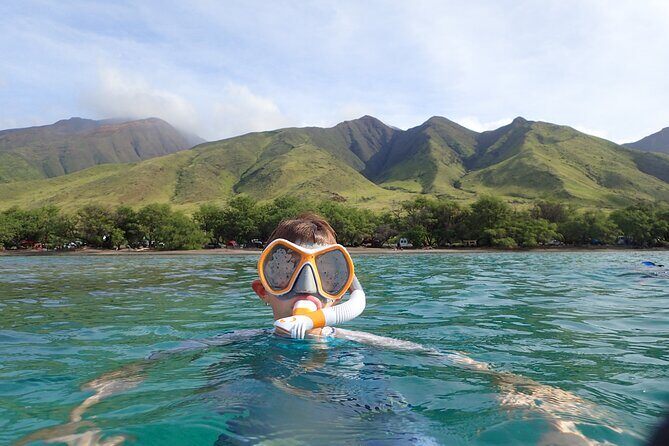 Group Snorkel Excursions in Lahaina, Maui - Key Points