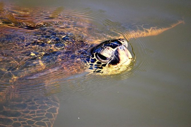 Group Stand Up Paddle Lesson and Tour - Who Is This Tour Best For?