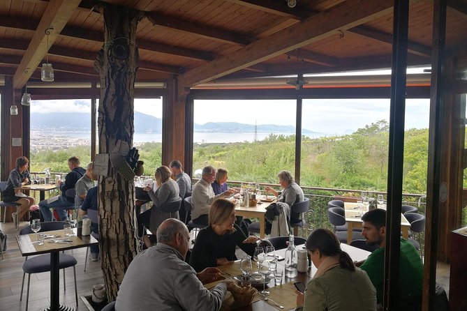 Group tour for wine & food tasting at the Cantina del Vesuvio. - Frequently Asked Questions
