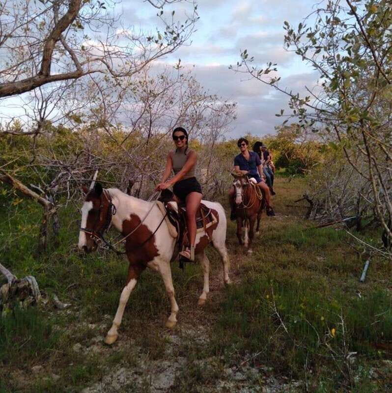Group Tour of Holbox Island, Quintana Roo - Introduction