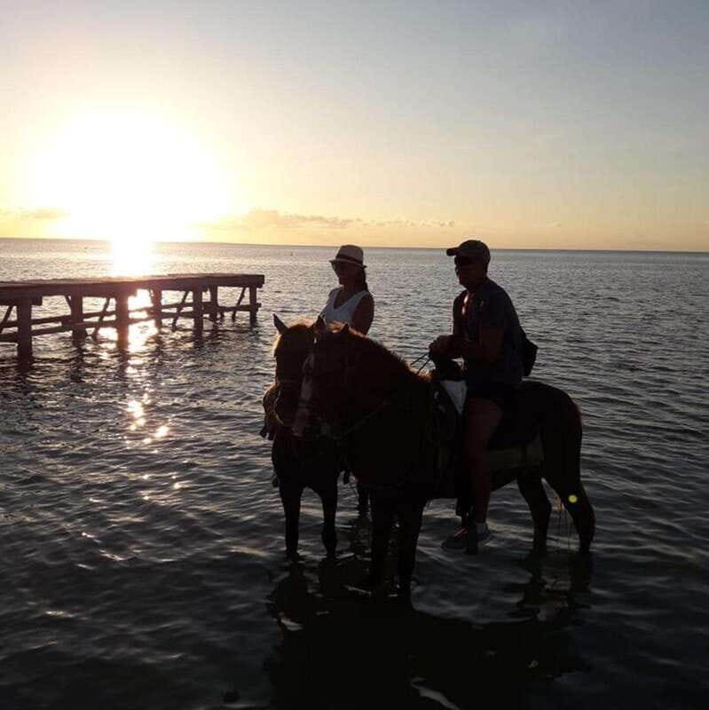 Group Tour of Holbox Island, Quintana Roo - Why You Should Consider This Tour