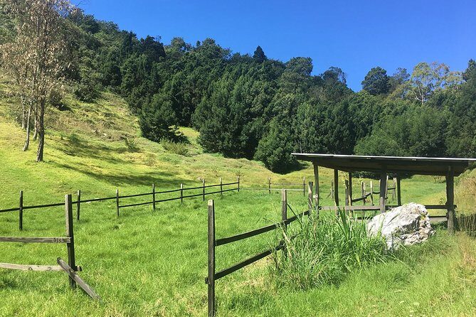 Group Tour of Nature Park - The Experience: What Youll Feel and Learn