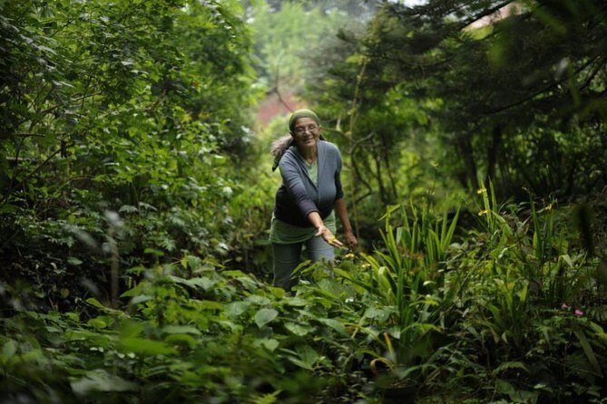 Group Tour of Nature Park - The Sum Up