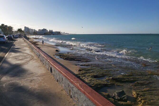 Group Transportation in airport, cruise ships, hotels, bnb's in San Juan, PR - The Experience: What You Can Expect