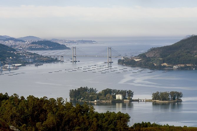 GROUP Walking Tour in Vigo - Reviews and Feedback