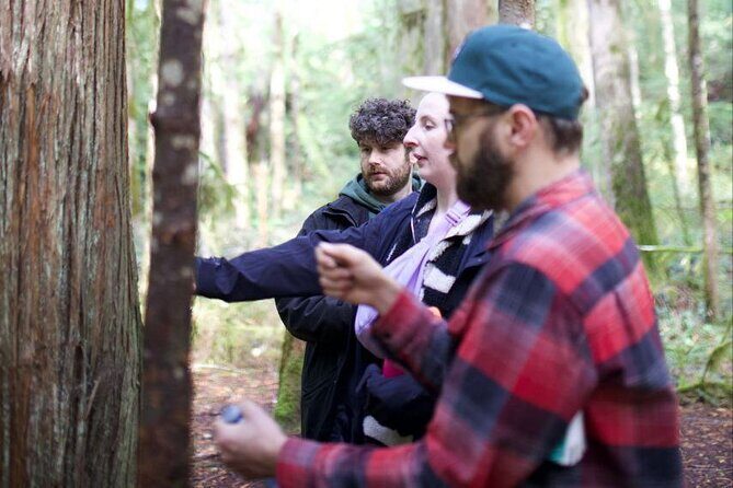Grouse Hike and Capilano Bridge - An In-Depth Look at the Tour Itinerary