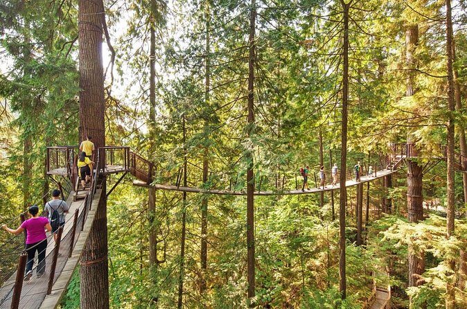 Grouse Hike and Capilano Bridge - FAQ