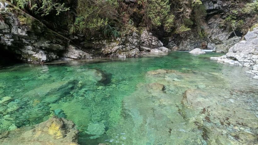 Grouse Mnt+StanleyPark+Hatchery+Cleveland Dam+LynnCanyonTOUR - Final Thoughts: Who Will Love This Tour?