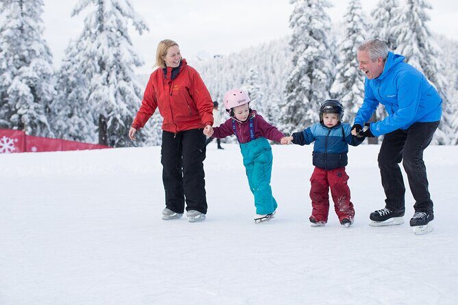Grouse Mountain Admission Ticket - A Closer Look at What to Expect at Grouse Mountain