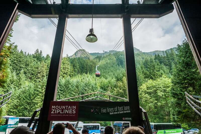 Grouse Mountain, Capilano Bridge & Fish Hatchery Tour - Key Points