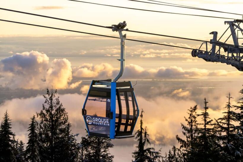 Grouse Mountain, Capilano Bridge & Fish Hatchery Tour - A Closer Look at the Tour Experience