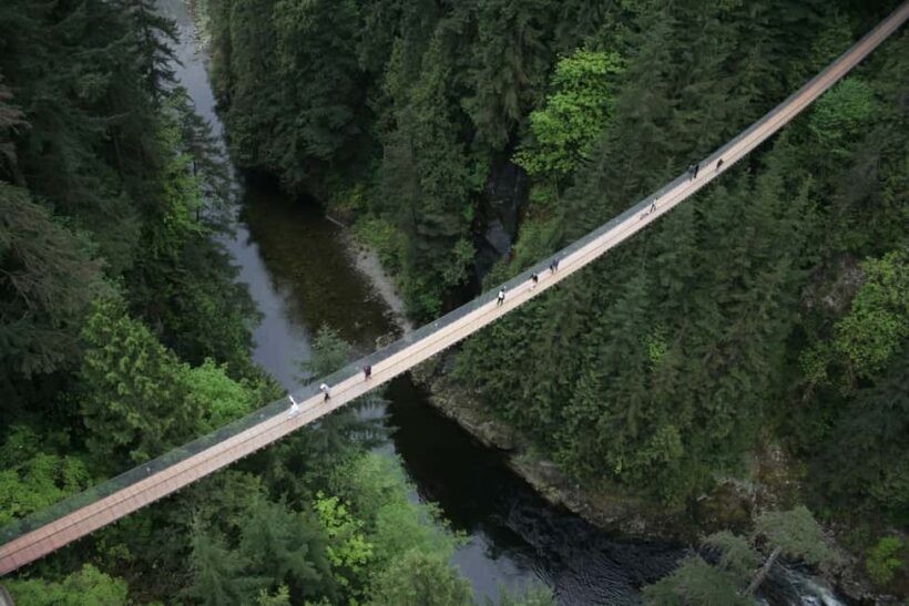 Grouse Mountain, Capilano Bridge & Fish Hatchery Tour - FAQ