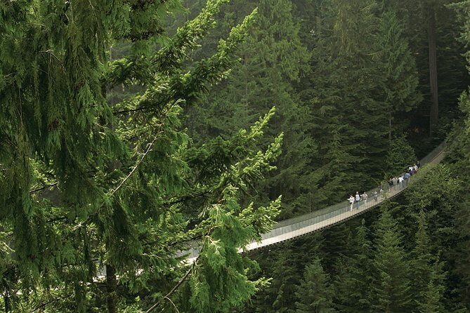 Grouse Mountain & Capilano Bridge Tour with Fish Hatchery - Analyzing the Value
