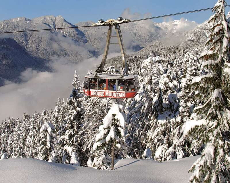 Grouse Mountain Skyride Admission Ticket - Dining, Shopping, and Resting