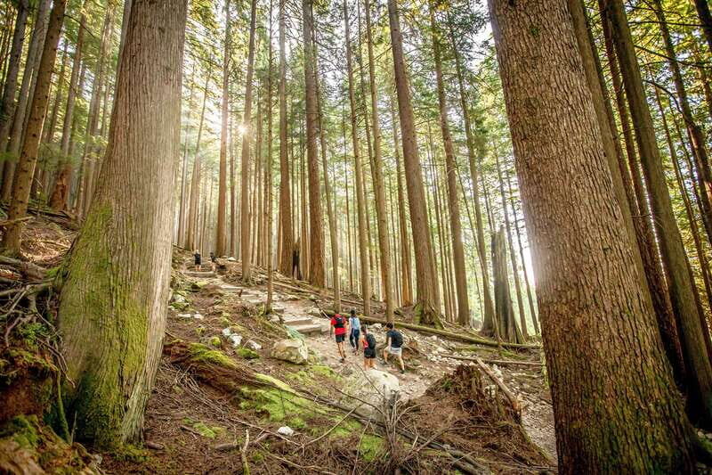 Grouse Mountain Skyride Admission Ticket - The Price and Value