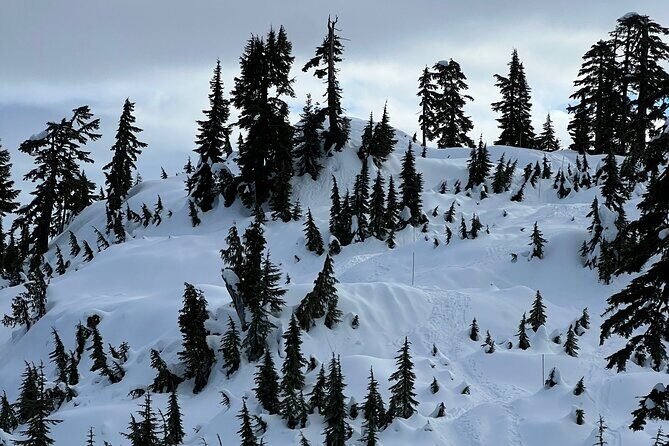 Grouse Mountain Snowshoeing Adventure with Scenic Skyride - The Sum Up