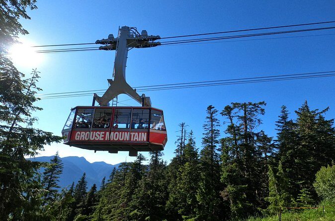 Grouse Mtn Stanley Park Hatchery Cleveland Dam Lynn Canyon Tour - Final Thoughts