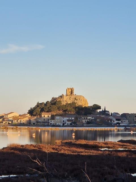 Gruissan: from the New Port to the Old Village - A Closer Look at the Tour