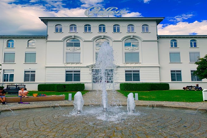 Gruyères Castle, Cheese, and Chocolate Private Tour from Basel - A Closer Look at the Itinerary