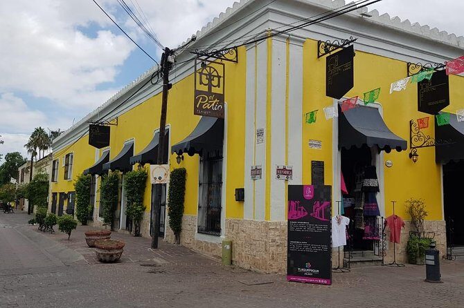 Guadalajara and Tlaquepaque Culture and Shopping - Who Should Consider This Tour?