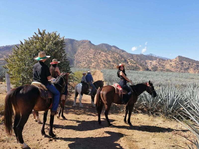 Guadalajara: Horse Riding on the Tequila Route with Tastings - An Authentic Day on the Tequila Route