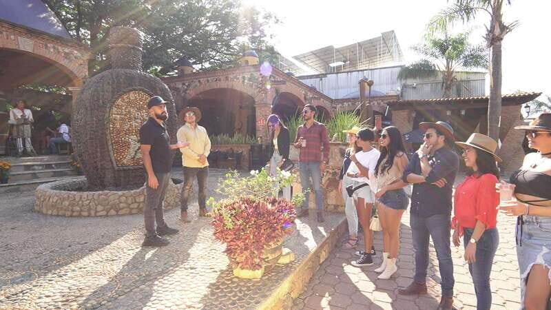 Guadalajara: Premium Tequila Tour with Tastings and Pairings - Key Points
