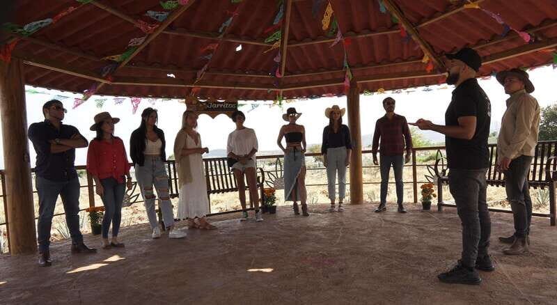 Guadalajara: Premium Tequila Tour with Tastings and Pairings - An In-Depth Look at the Tour