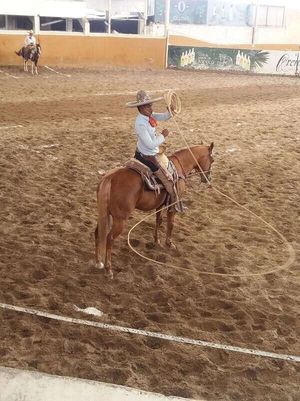 Guadalajara Tour and Charreria Competition Show - Exploring Guadalajara’s Downtown