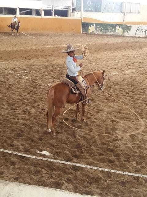 Guadalajara Tour and Charreria Competition Show - Practical Tips for Participants
