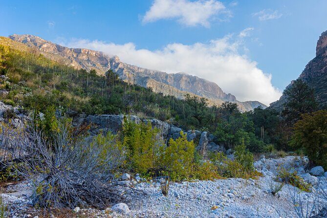 Guadalupe Mountains National Park Self Guided Audio Tour - Final Thoughts