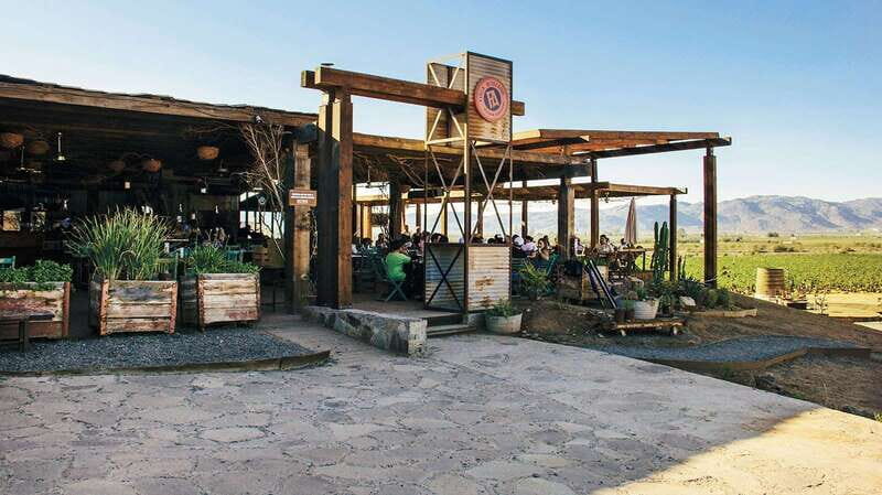 Guadalupe Valley: Complete Wine Route - An Authentic Day in Baja’s Wine Country