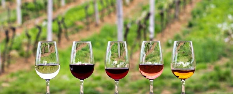 Guadalupe Valley: Complete Wine Route - Food and Drinks