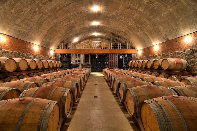Guadalupe Wine Valley Tour - Who Should Consider This Tour?