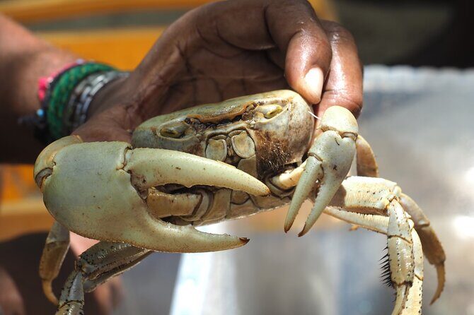 Guadeloupe: Its Craftspeople, Delicacies and Farmers' Market - Authentic Guadeloupe Flavors at a Local Restaurant