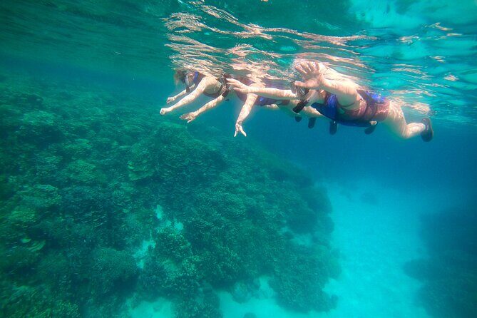 Guam's 5 Star Guided Snorkeling Tour! - Key Points