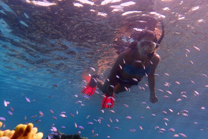 Guam's 5 Star Guided Snorkeling Tour! - Who Should Book This Tour?