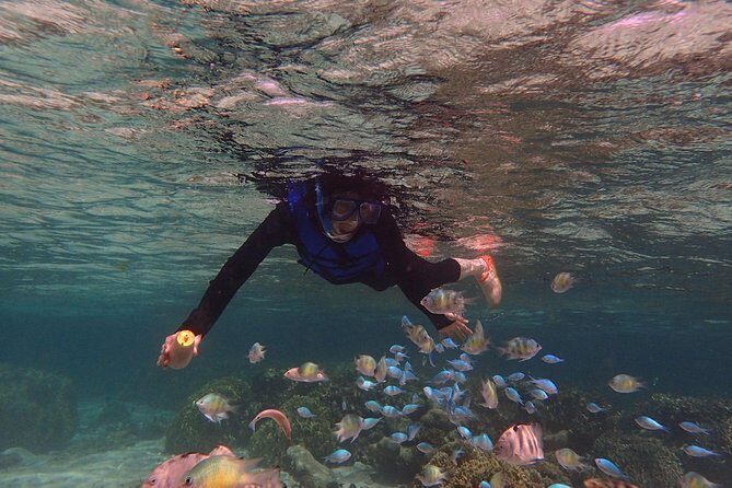 Guam's 5 Star Guided Snorkeling Tour! - Final Thoughts