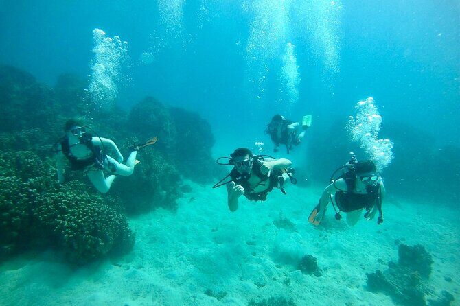 Guam's Best Beach Diving! Beginner and Advanced Dives - Why This Tour Stands Out