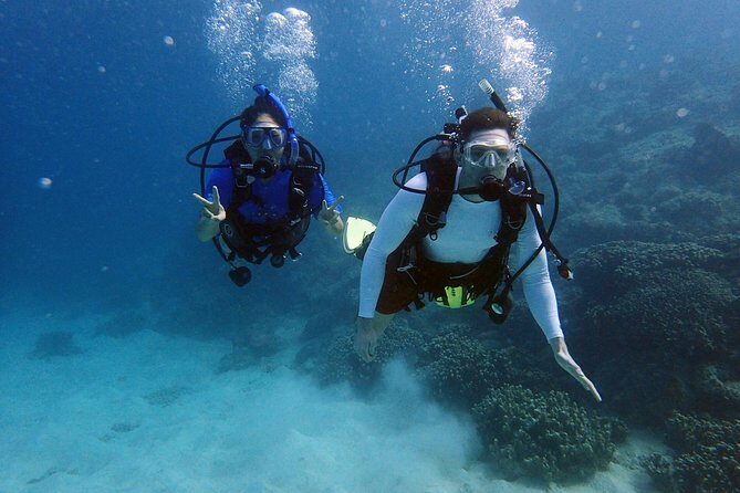 Guam's Best Beach Diving! Beginner and Advanced Dives - Final Thoughts
